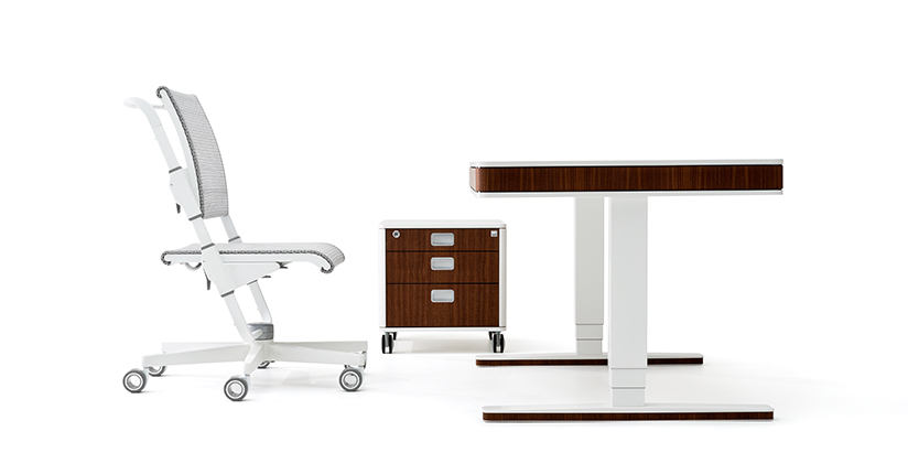 moll Function ergonomic desks and chairs